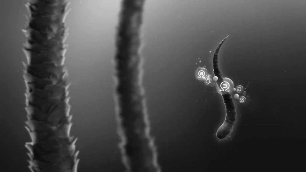 Top Videos Archives - Explainer Video Services